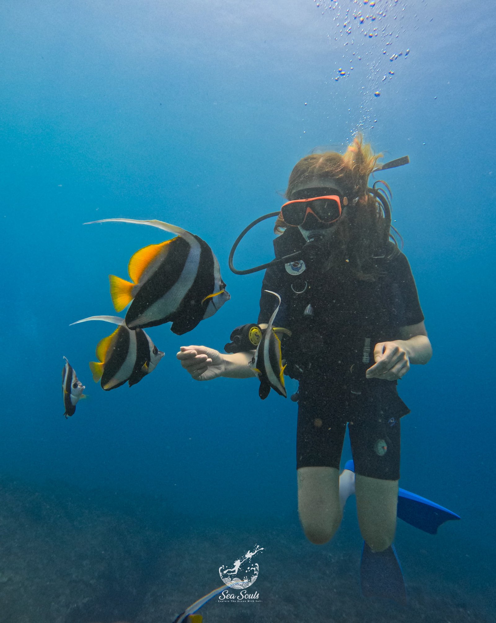 Sea Souls | PADI Scuba Diving Courses in Sri Lanka - Unawatuna, Trincomalee & Mirissa